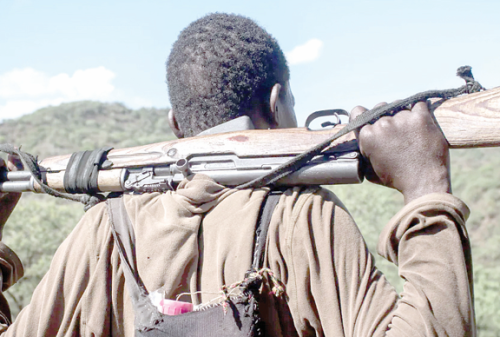 Baringo: Bandits Kill Three Family Members. - The Lower Eastern Times