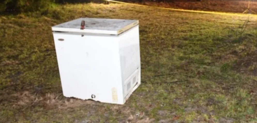 Four Children Trapped in Freezer in Namibia Die - The Lower Eastern Times