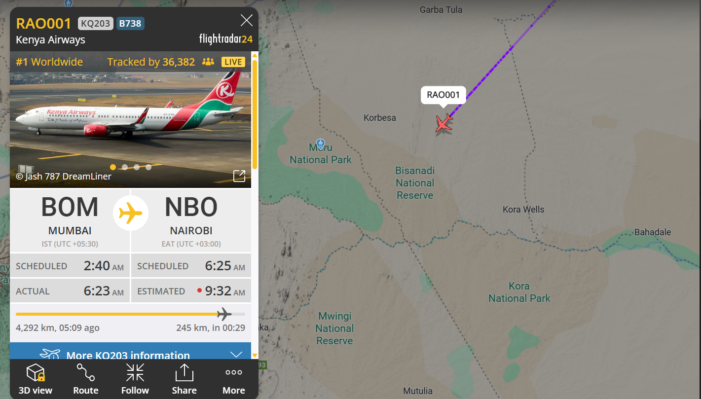 Kenya Airways Renames Flight to ‘RAO001’ in Tribute to Raila Odinga ...